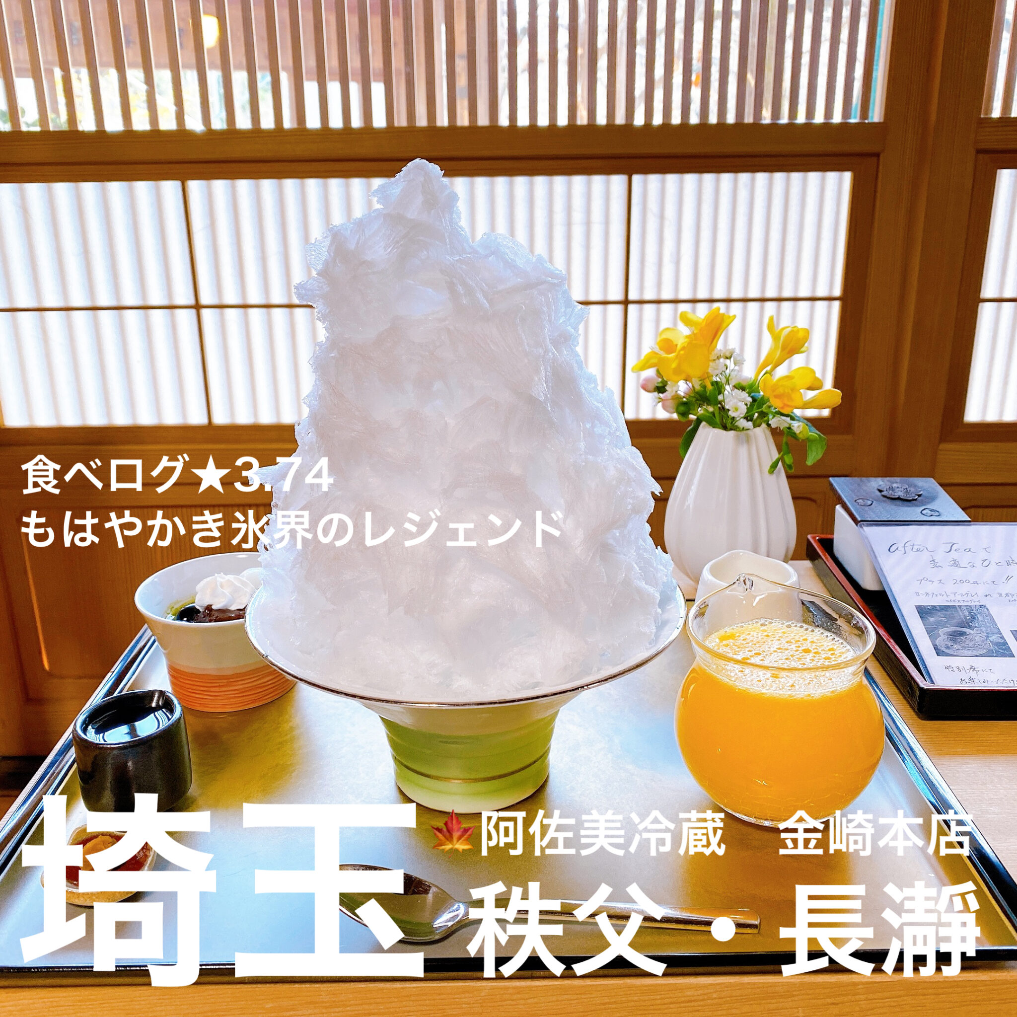 かき氷マニアの埼玉県のおすすめかき氷5選！！！超有名店から穴場まで。 - Dr.maple blog